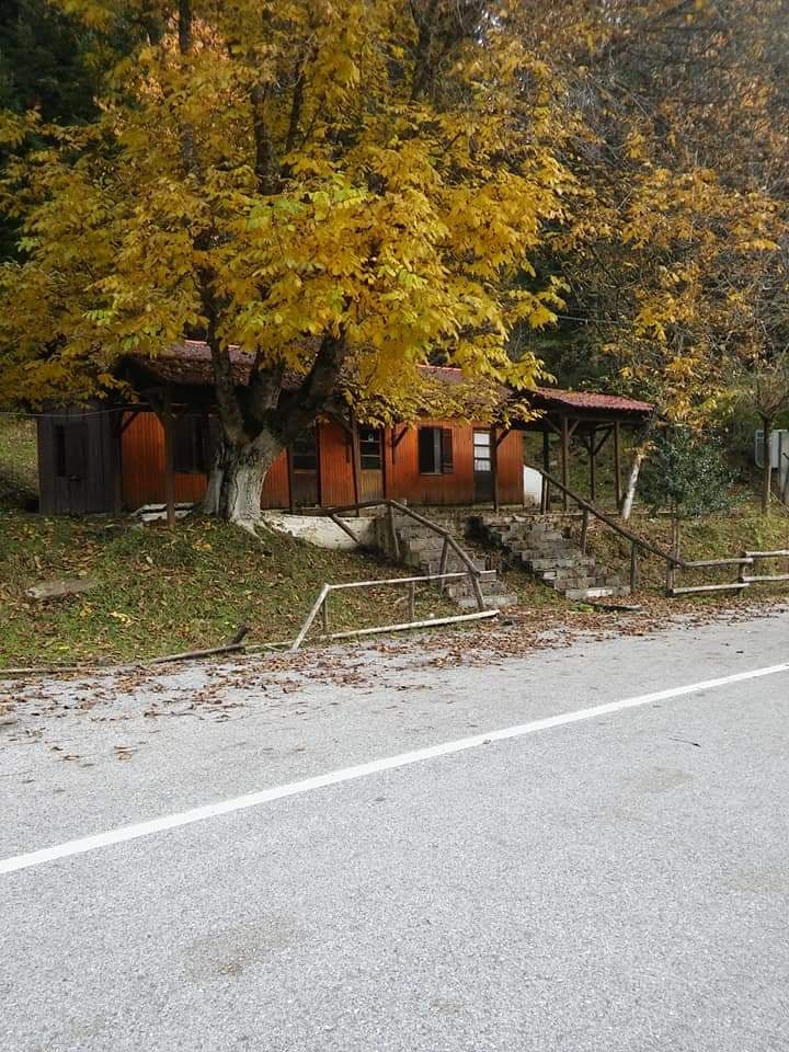 Μαγευτικές φθινοπωρινές εικόνες της περιοχής μας - TV10